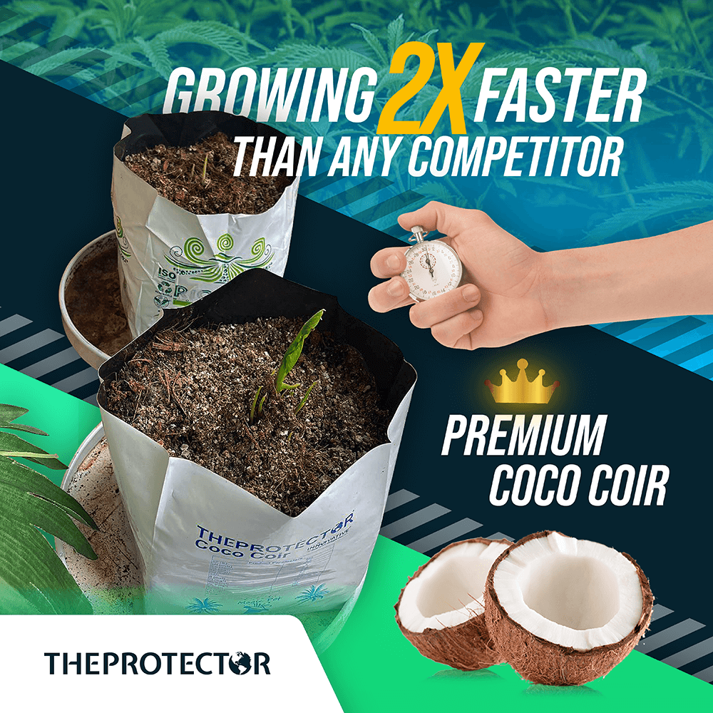 Welcome to Shoptheprotector - 2 Gallon Magic pot Coco Coir non-waven ...